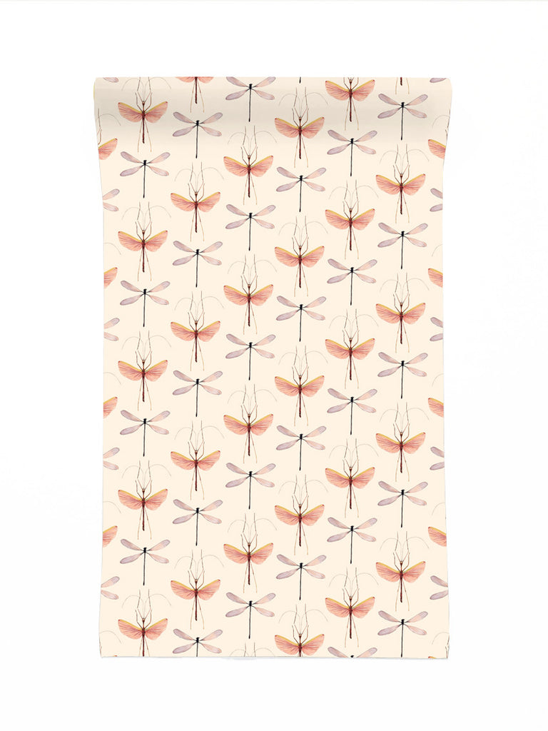 Damsel – eve spencer